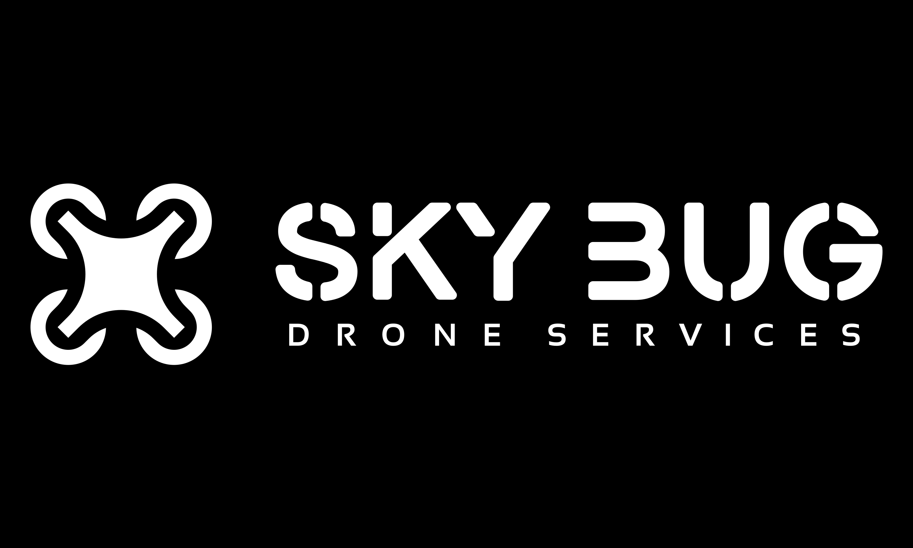 Sky Bug Drone Services